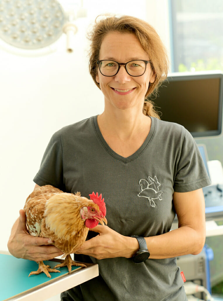 Dr. med. vet. Isabelle Zulauf - Exotenpraxis - Ihre Praxis für ...